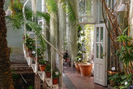 Kaisaniemi Botanic Garden - Discovering Finland