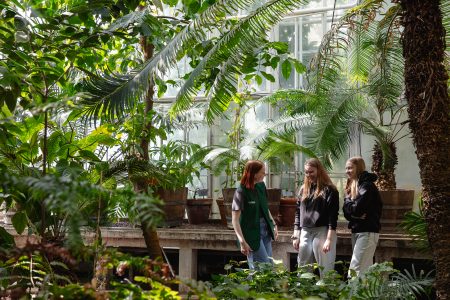 Kaisaniemi Botanic Garden - Discovering Finland