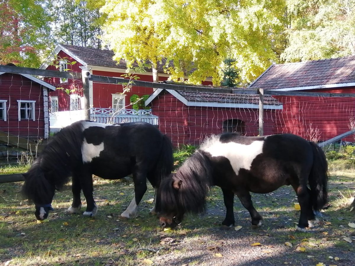 Toivonen Animal Park and Peasant Museum - Discovering Finland
