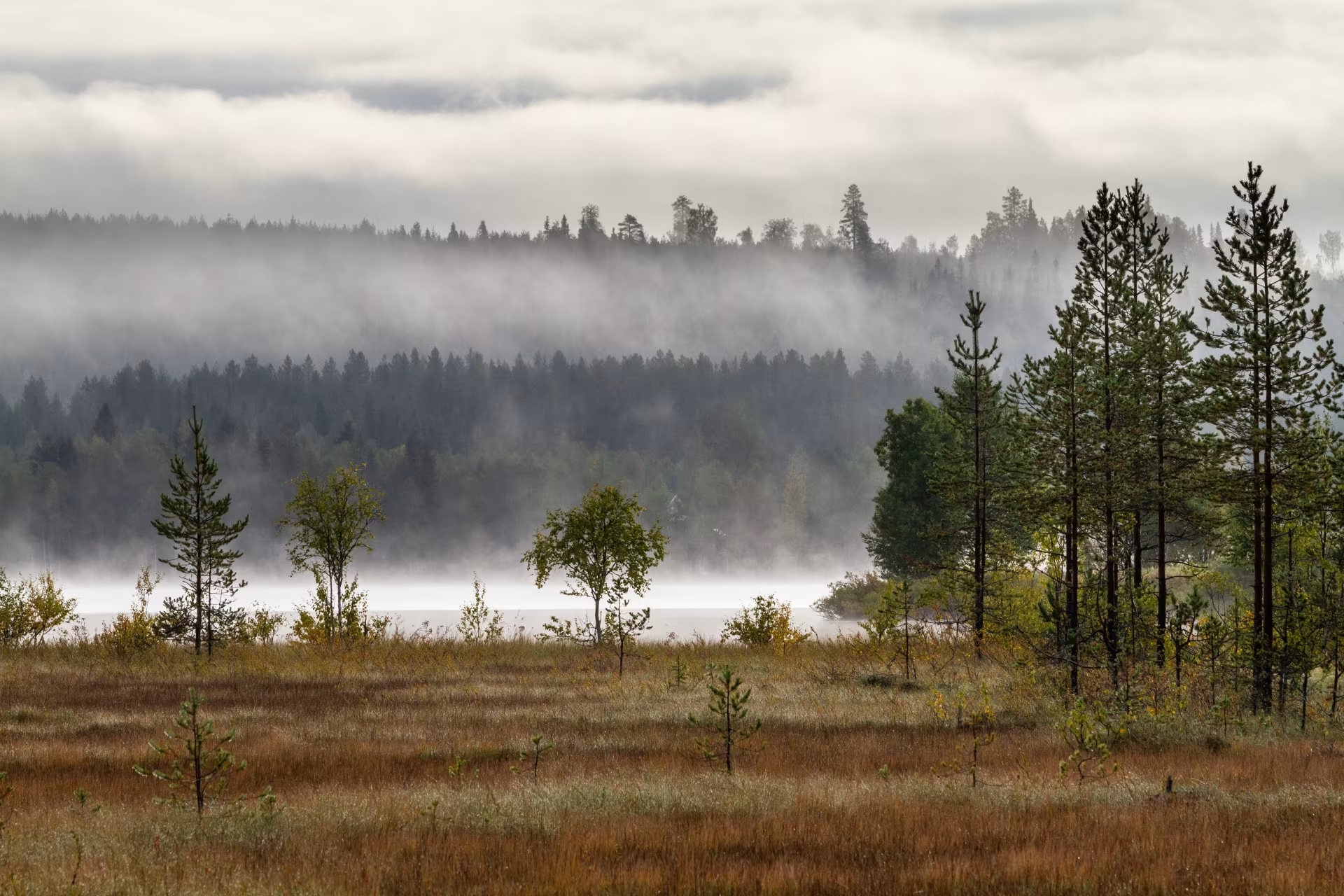 Syöte National Park Pudasjärvi - Discovering Finland