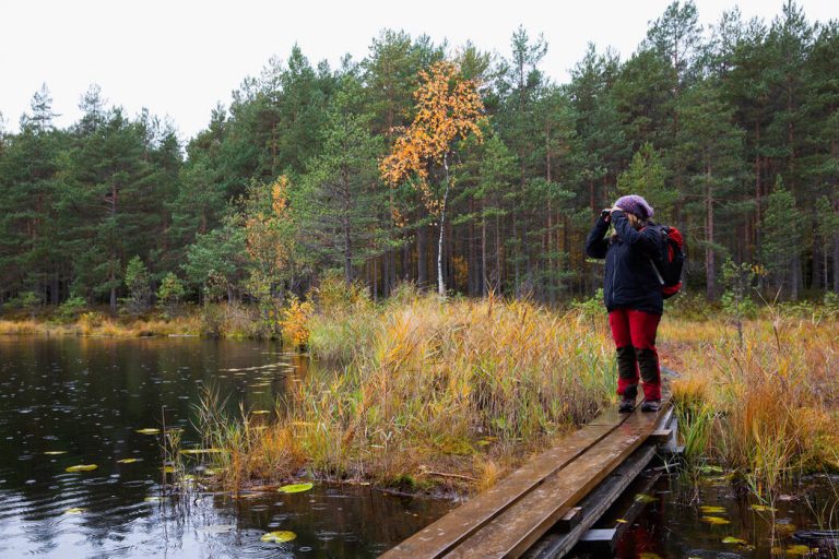 Sipoonkorpi National Park Sipoo - Discovering Finland