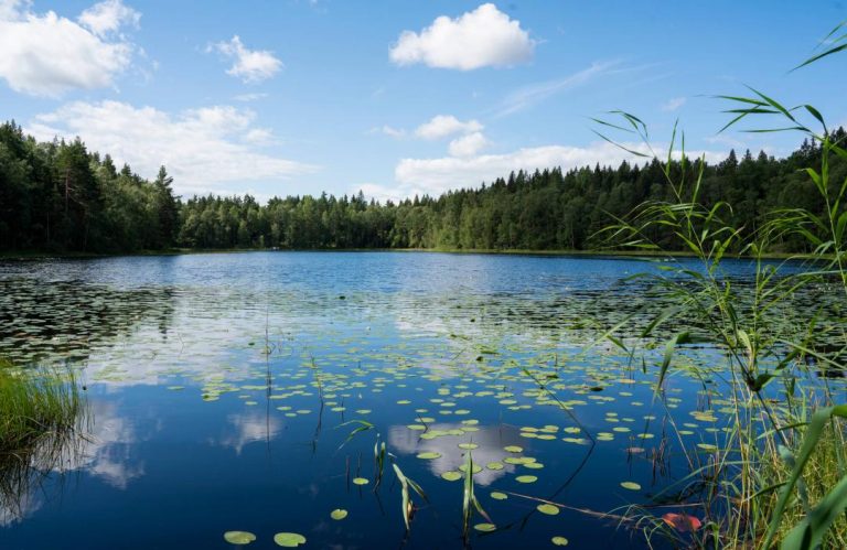 Sipoonkorpi National Park Sipoo - Discovering Finland