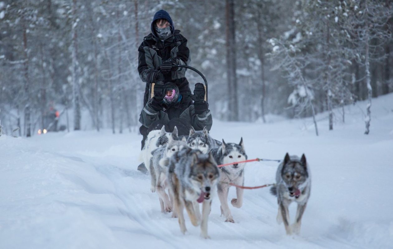 Hotel Iso-Syöte & Safaris - Discovering Finland