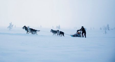 Safartica - Activities in Lapland Rovaniemi - Discovering Finland