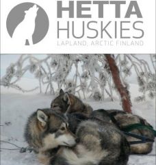 Hetta Huskies - Discovering Finland