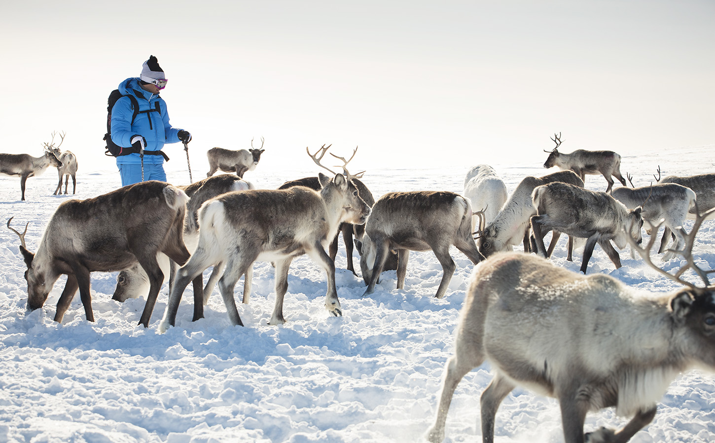 Activities & Sports in Finland - Best Activities Finland | Discovering ...