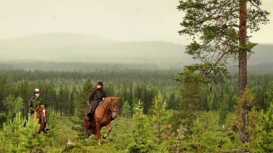 Horse Riding Finland, Finnish Riding Clubs & Stables | Discovering Finland