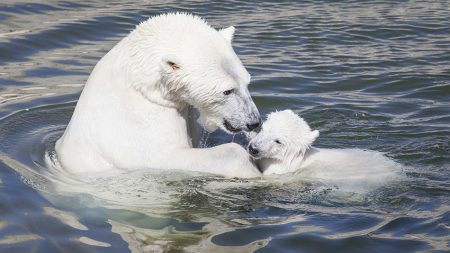 Ranua Wildlife Park - the most northern zoo in Finland - Discovering ...