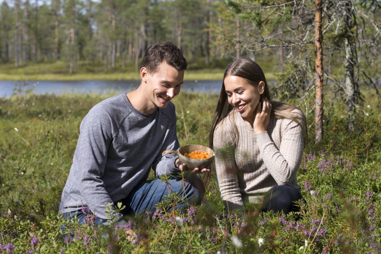 Safartica - Activities in Lapland Rovaniemi - Discovering Finland