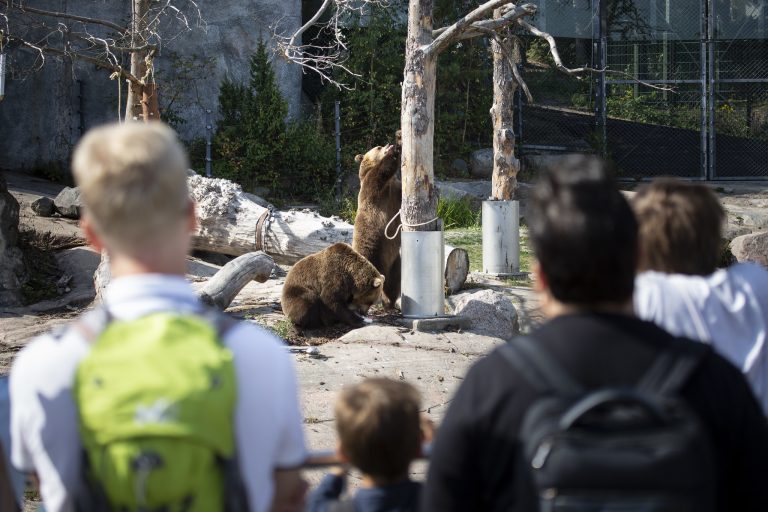 Helsinki Zoo - Korkeasaari Helsinki - Discovering Finland