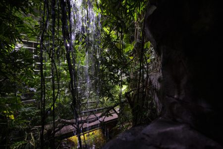 Helsinki Zoo - Korkeasaari Helsinki - Discovering Finland