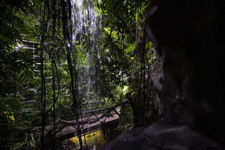 Korkeasaaren eläintarha Helsinki - Discovering Finland