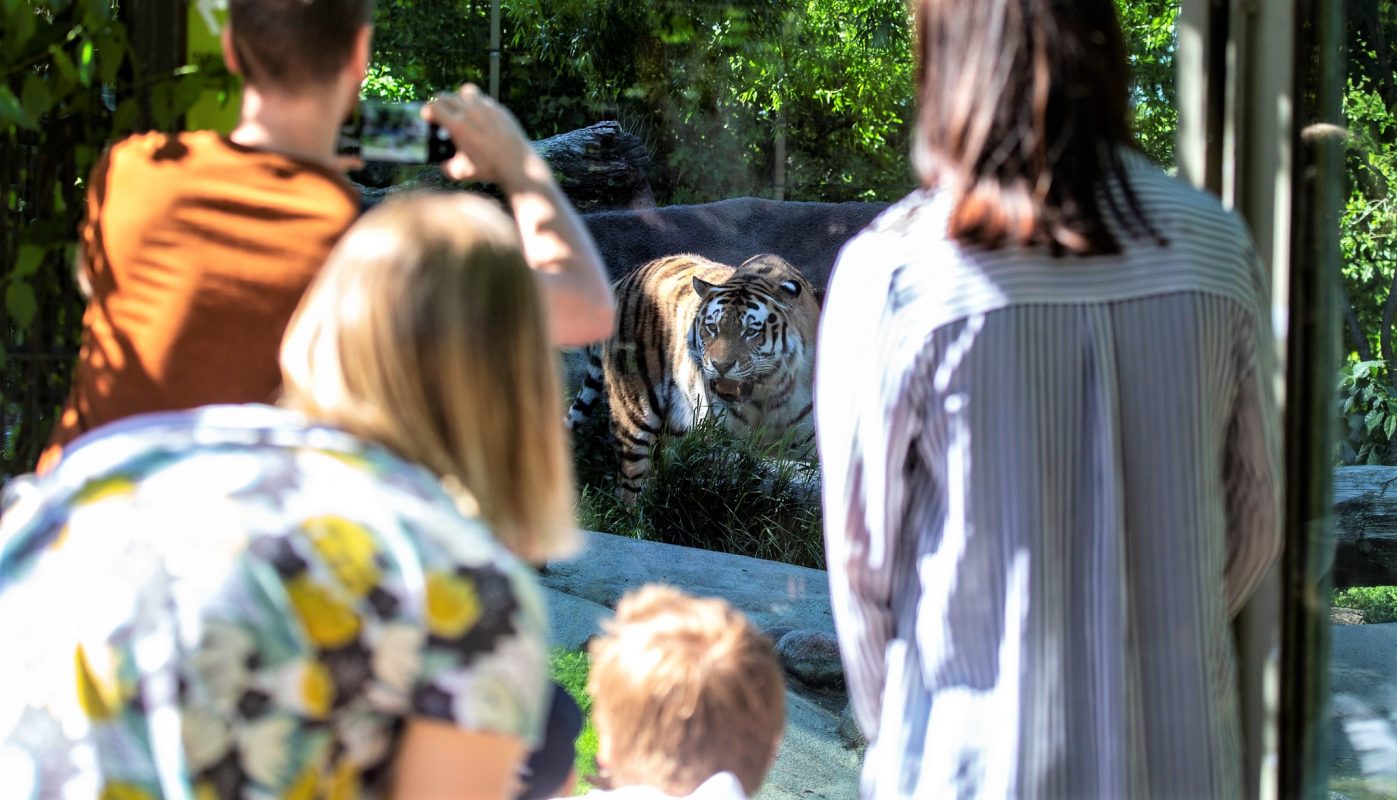 Family Holiday Attractions in Helsinki & Best Day Trips - Discovering ...