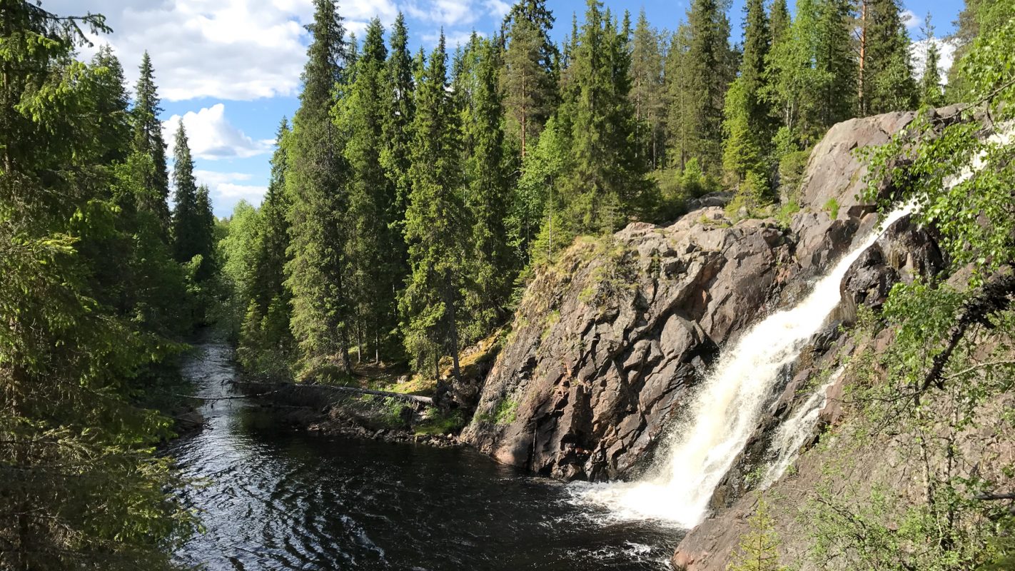 Paljakka and Wild Taiga - A Unique Summer Paradise - Discovering Finland