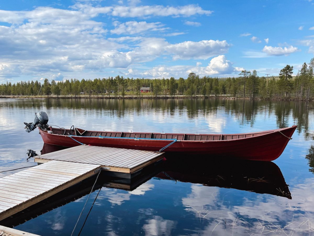 Discover the Arctic Wilderness with Hetan Kota - Discovering Finland