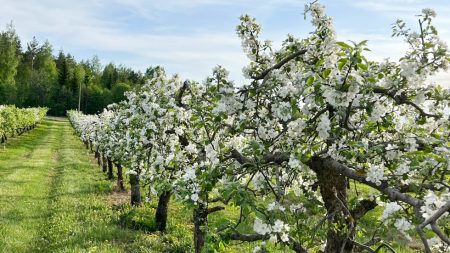 Discover Lohja – A Summer Getaway Just Half an Hour from Helsinki ...